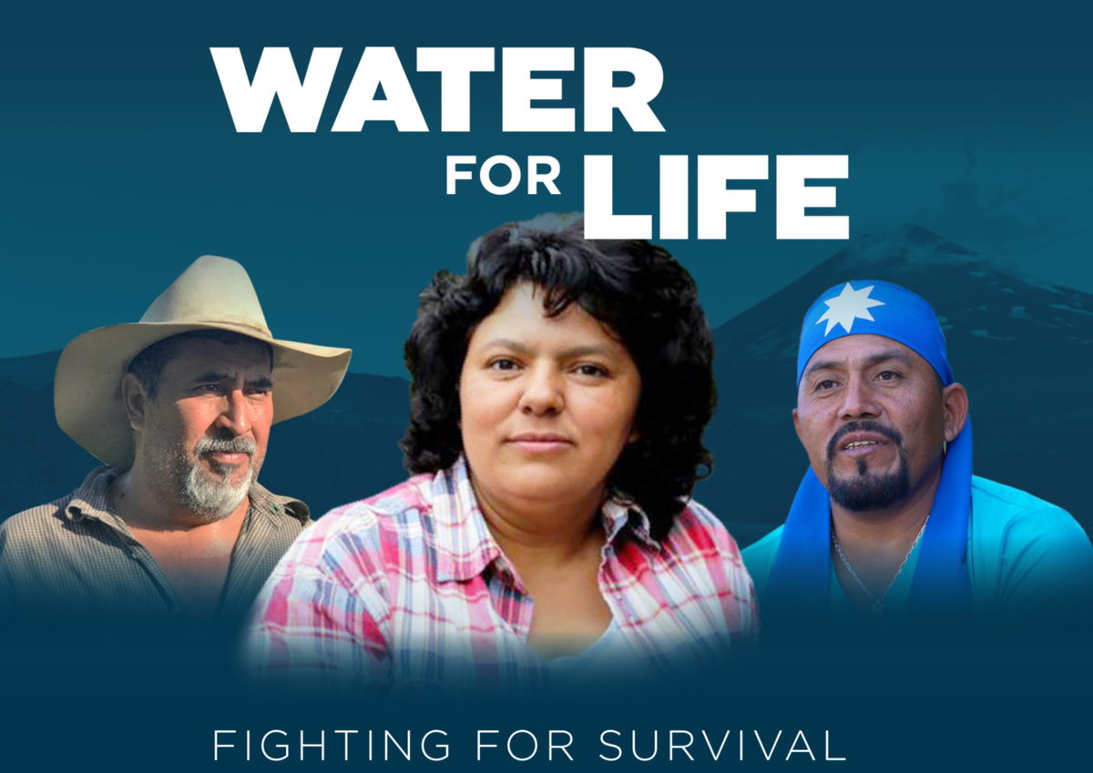 Lights, Camera, Impact: How Documentary Filmmakers Change the World ...